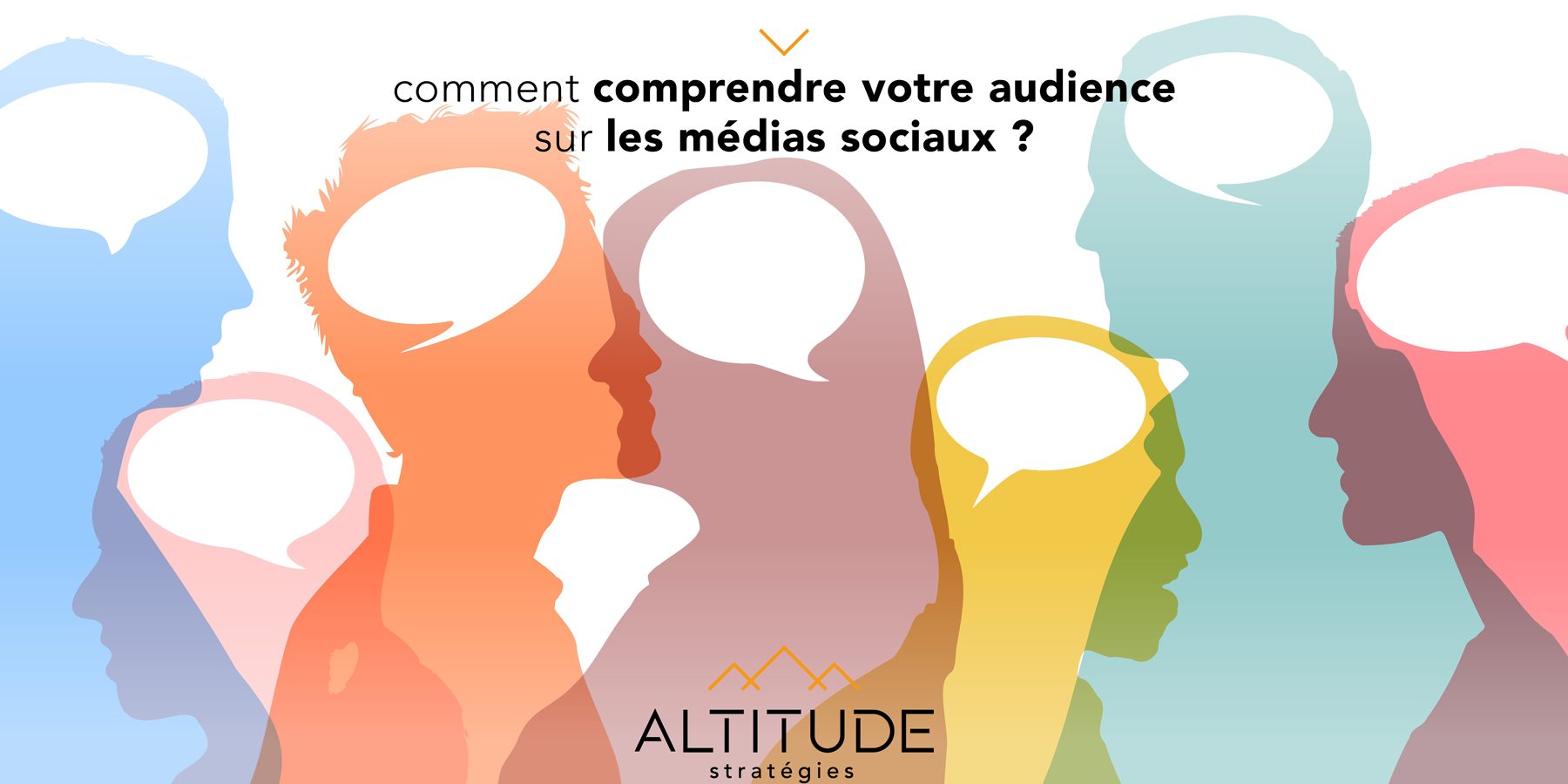 Comment comprendre votre audience sur les médias sociaux ? | Altitude ... Comment comprendre votre audience sur les médias sociaux ? | Altitude ...
